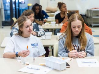 Undergraduate Programs College Of Nursing